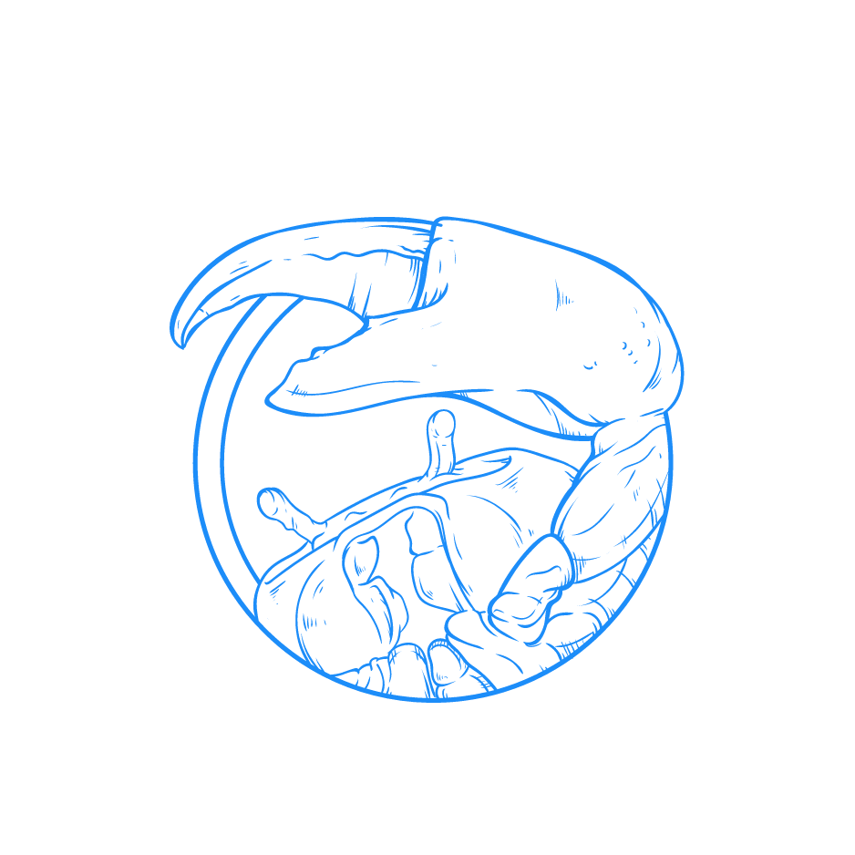 Todo sobre la Mujer del signo zodiacal Cáncer